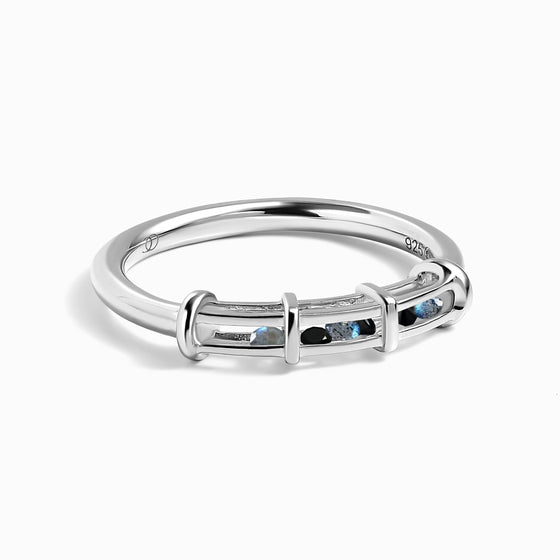 Labradorite Black Obsidian Fidget Ring - Motion Medicine – Moon Magic