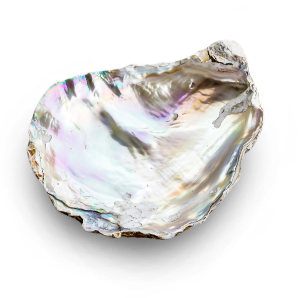 Black Onyx Mother of Pearl Fidget Ring - Spinning Enfolded – Moon Magic